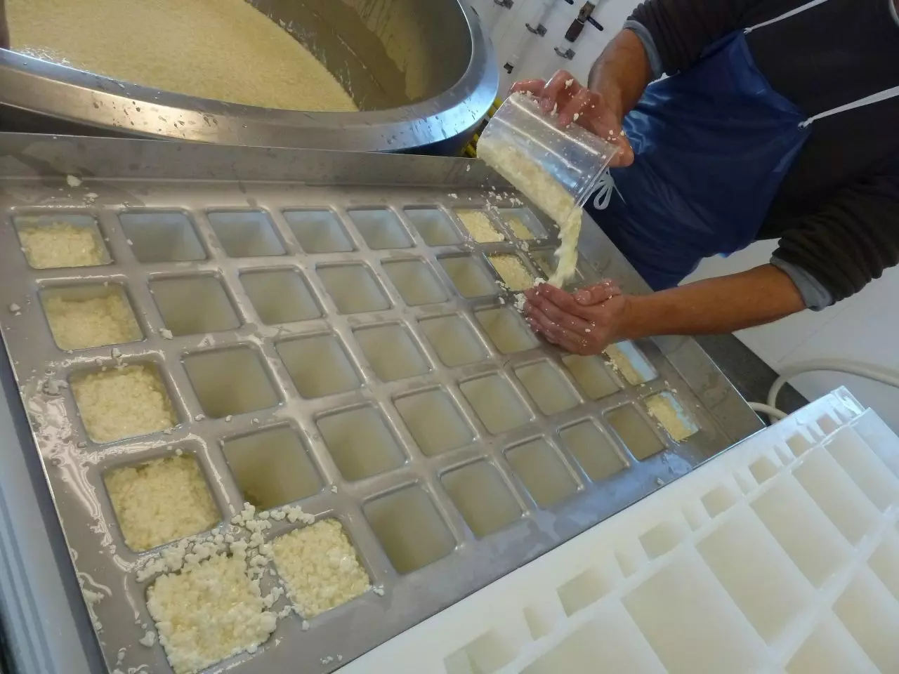 Cheese molds - C. van 't Riet / Dairy Technology USA